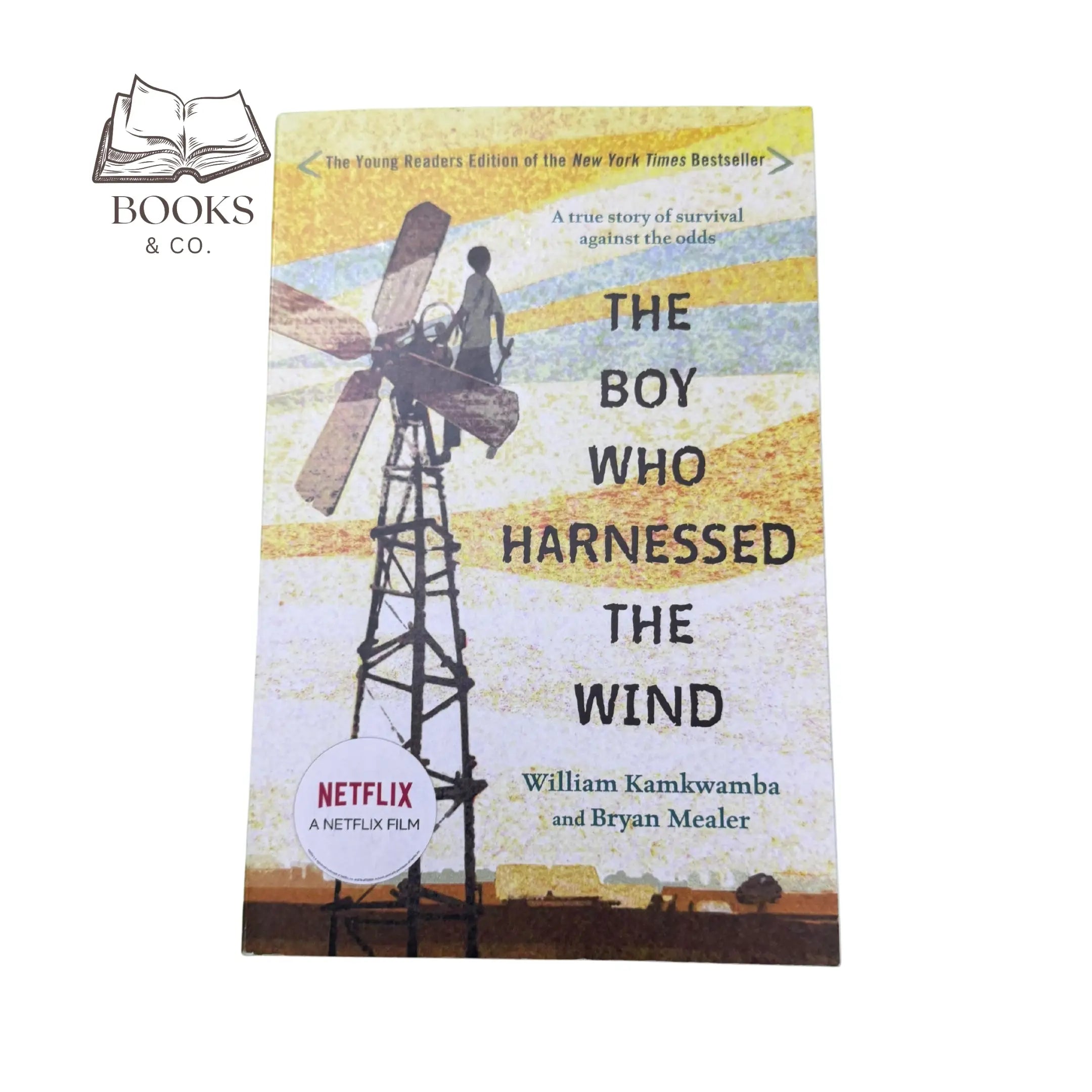 The Boy Who Harnessed the Wind, Young Reader's Edition – The Books & Co
